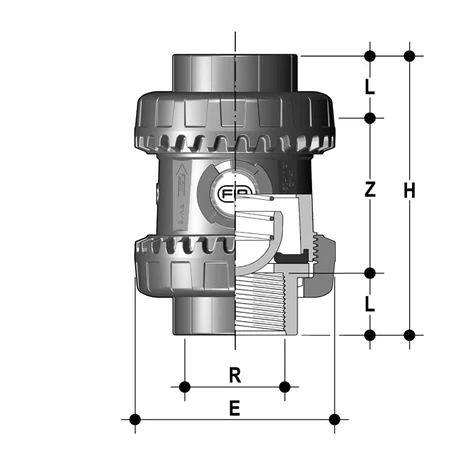 SSEGV - Easyfit True Union ball and spring check valve
